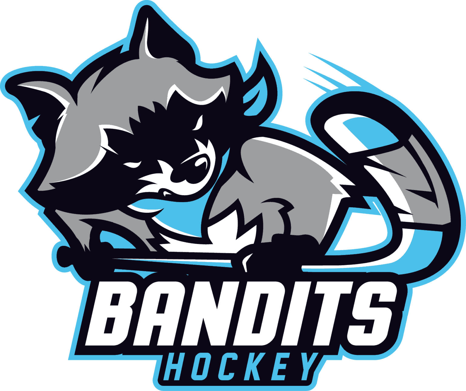 HPL Hockey Program Directory Of Teams