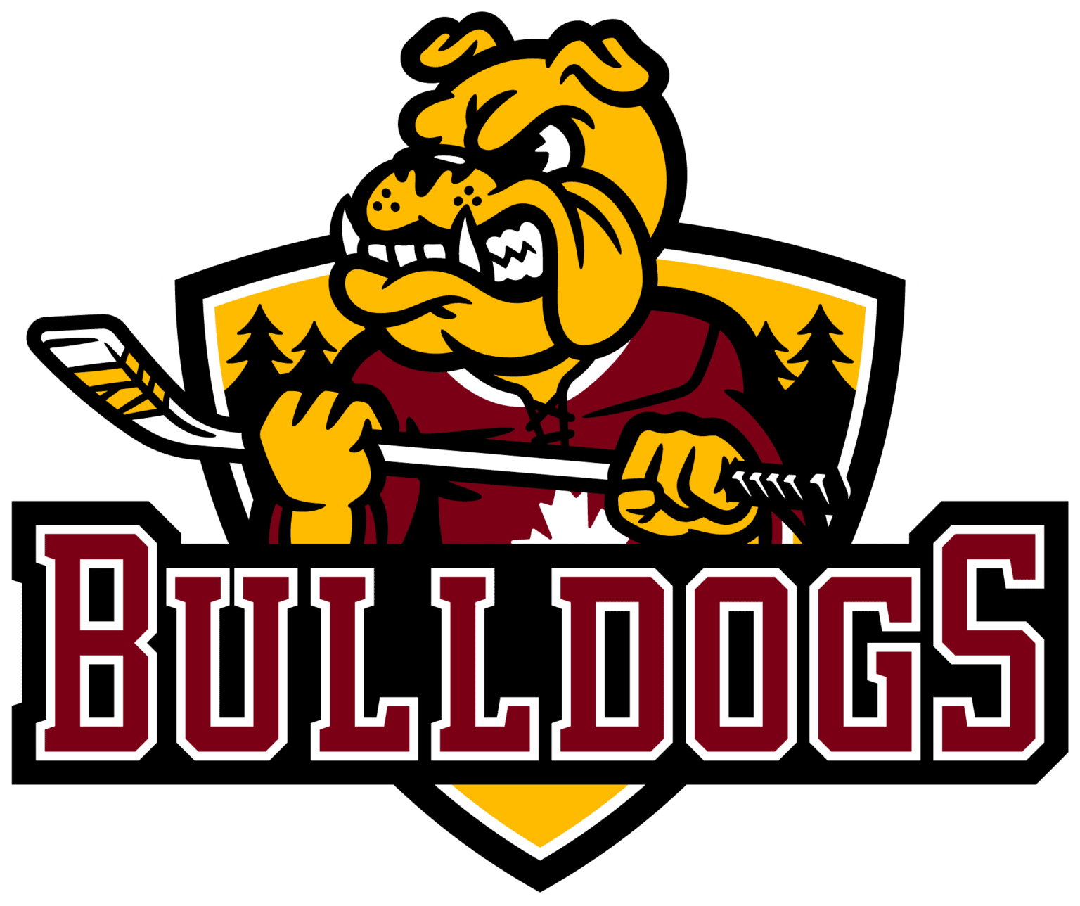 HPL Hockey Program Directory Of Teams